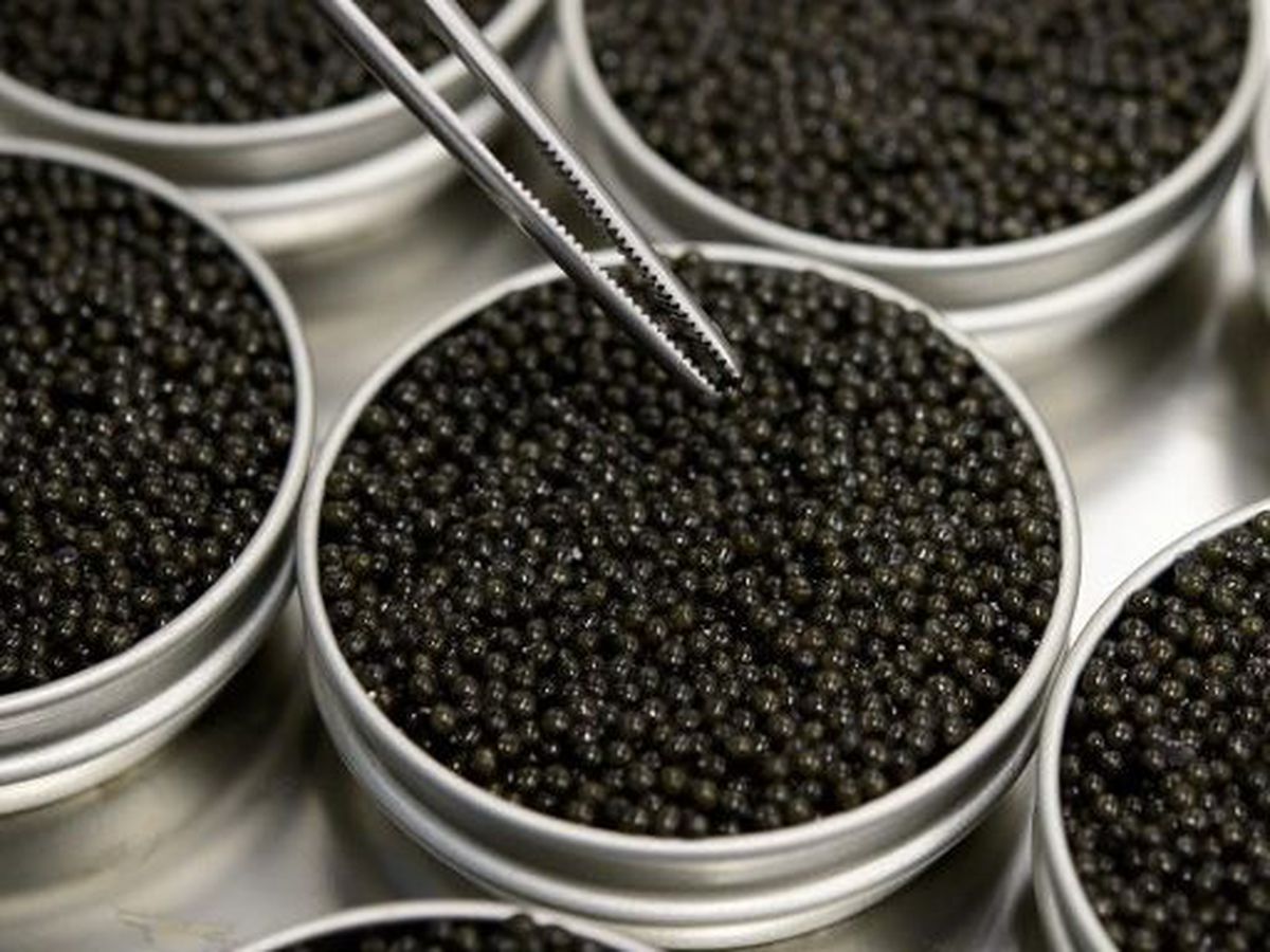 Acheter du caviar à Lyon - Lyon actualité et découverte